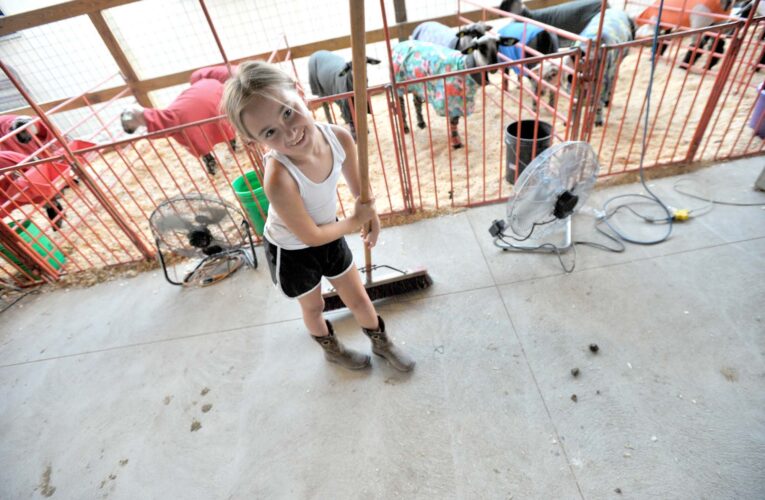 Fair time, fun time | News, Sports, Jobs - Messenger News